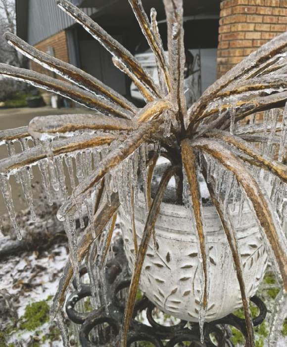 WINTER STORM FERN | East Carroll Banner